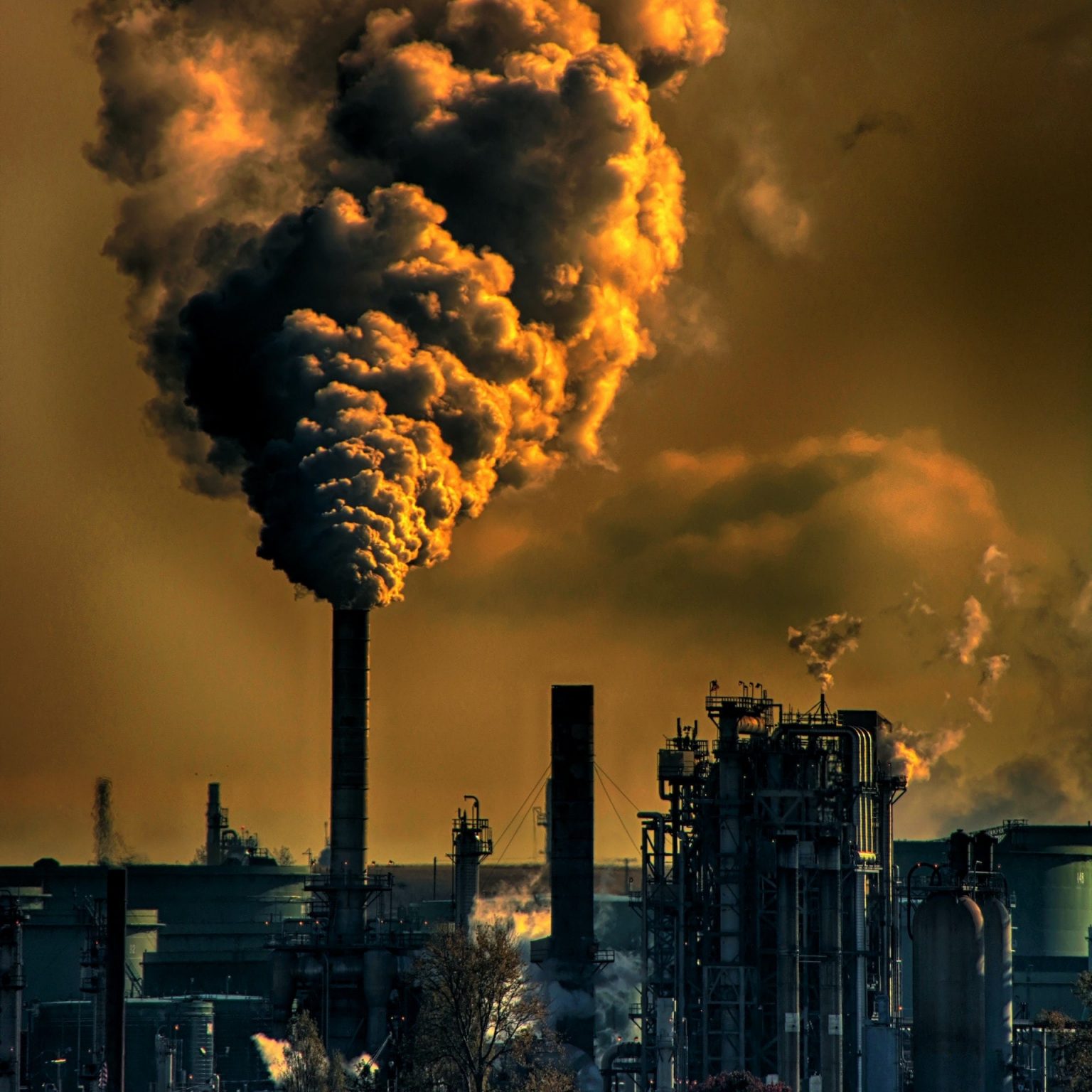 5 things we can do about the excess nitrogen problem